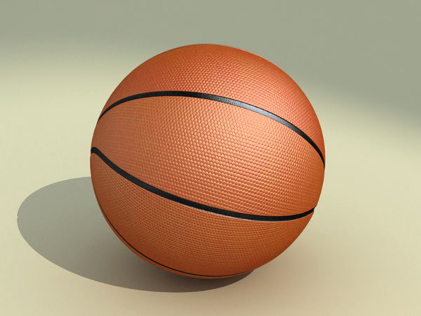 Max Basketball Basket Ball