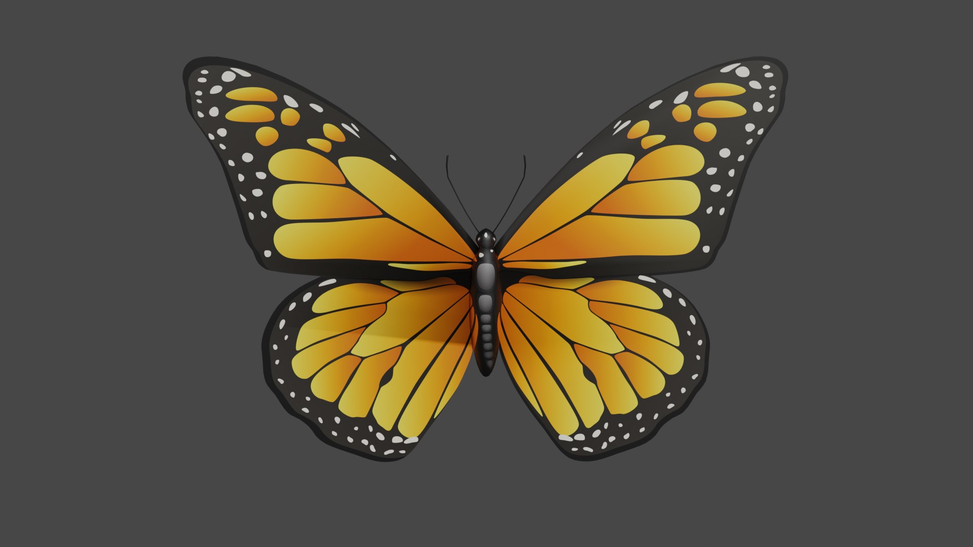 3D Animation Butterflies Model - TurboSquid 1670462