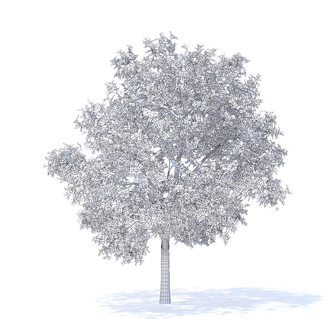 3D Apple Tree 3 7m - TurboSquid 1252207