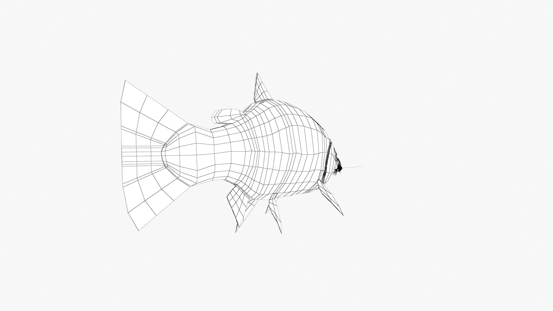 Rainbow trout model - TurboSquid 1523008