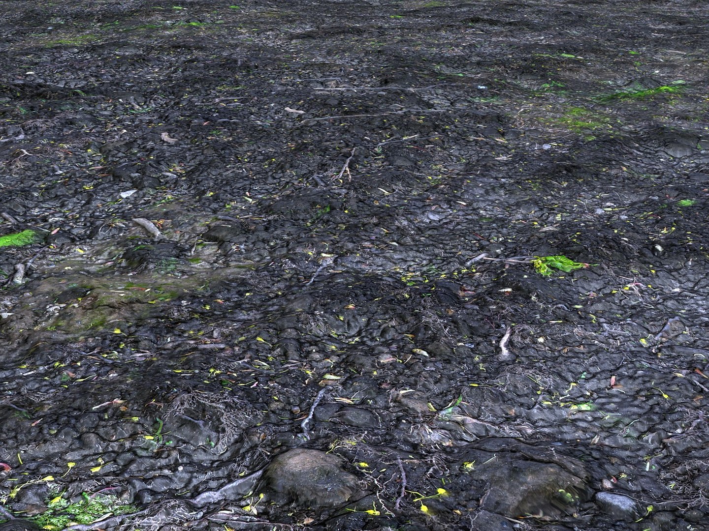 3d Model Forest Ground 16k Hd