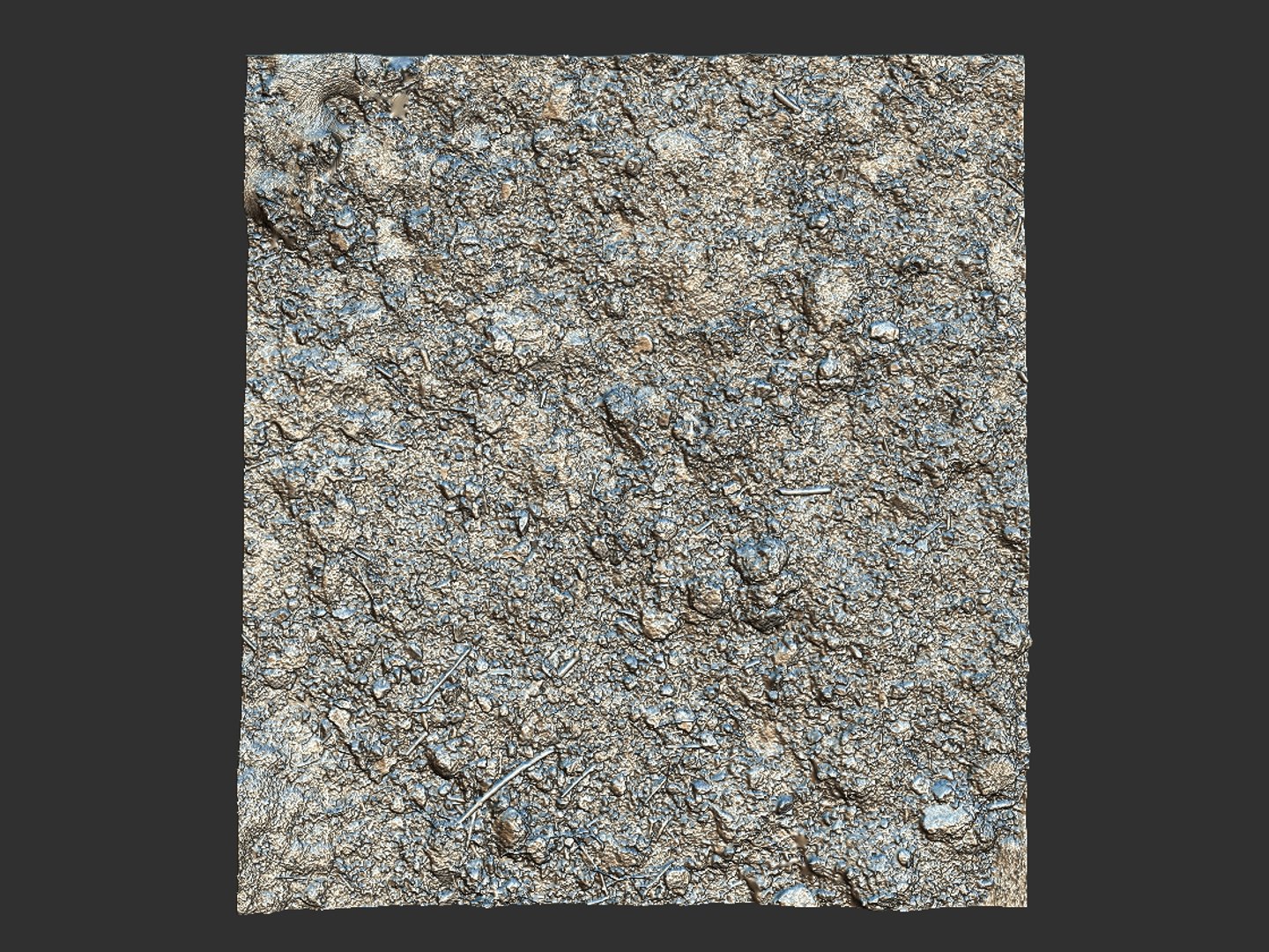 3d Model Forest Ground 16k Hd