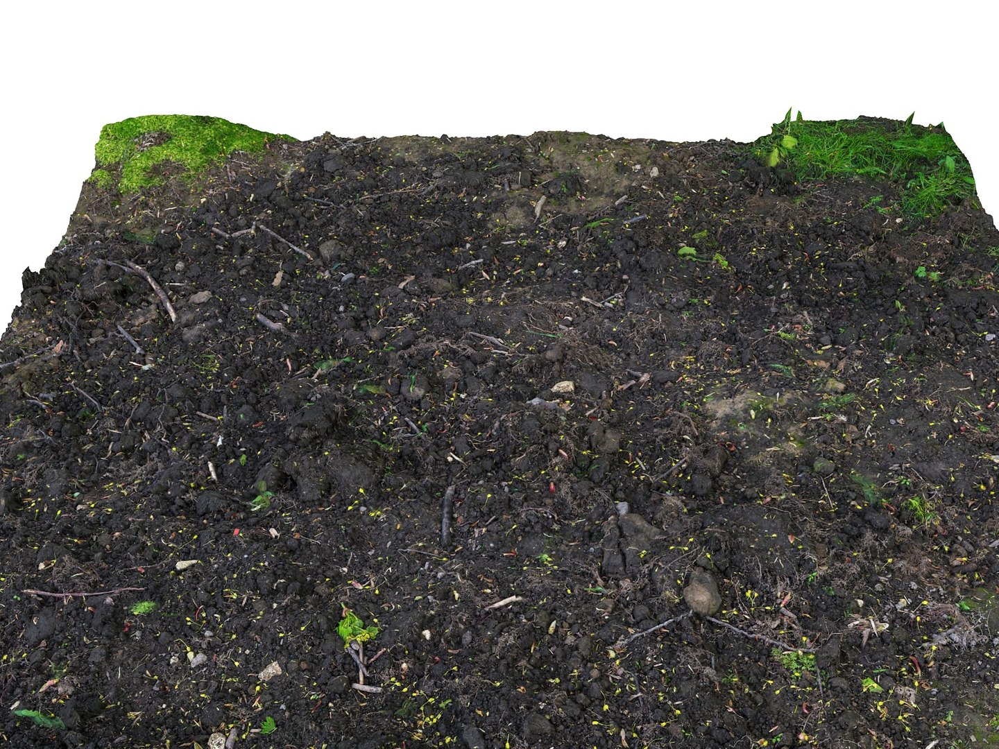 3d Model Forest Ground 16k Hd