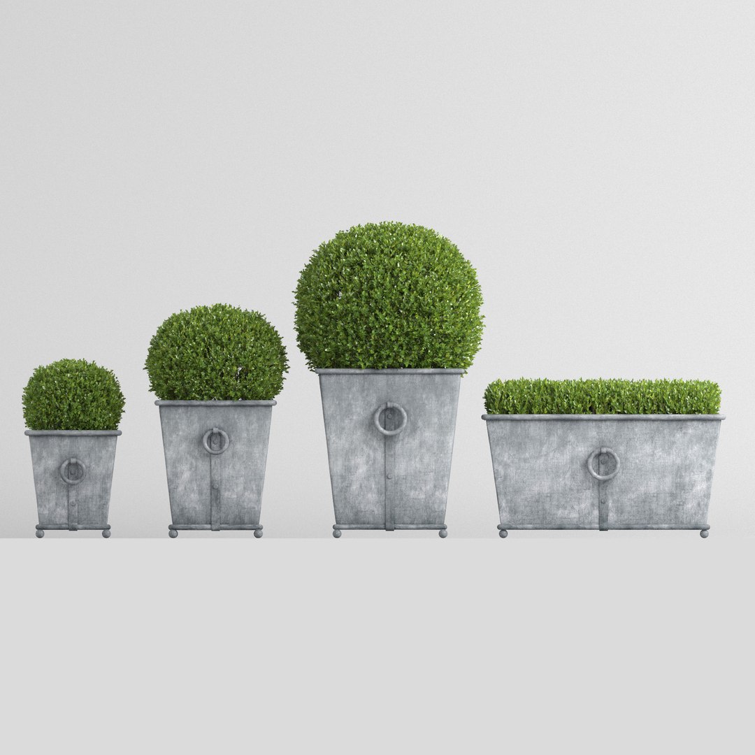 3d Max Realistic Planters Square Ring
