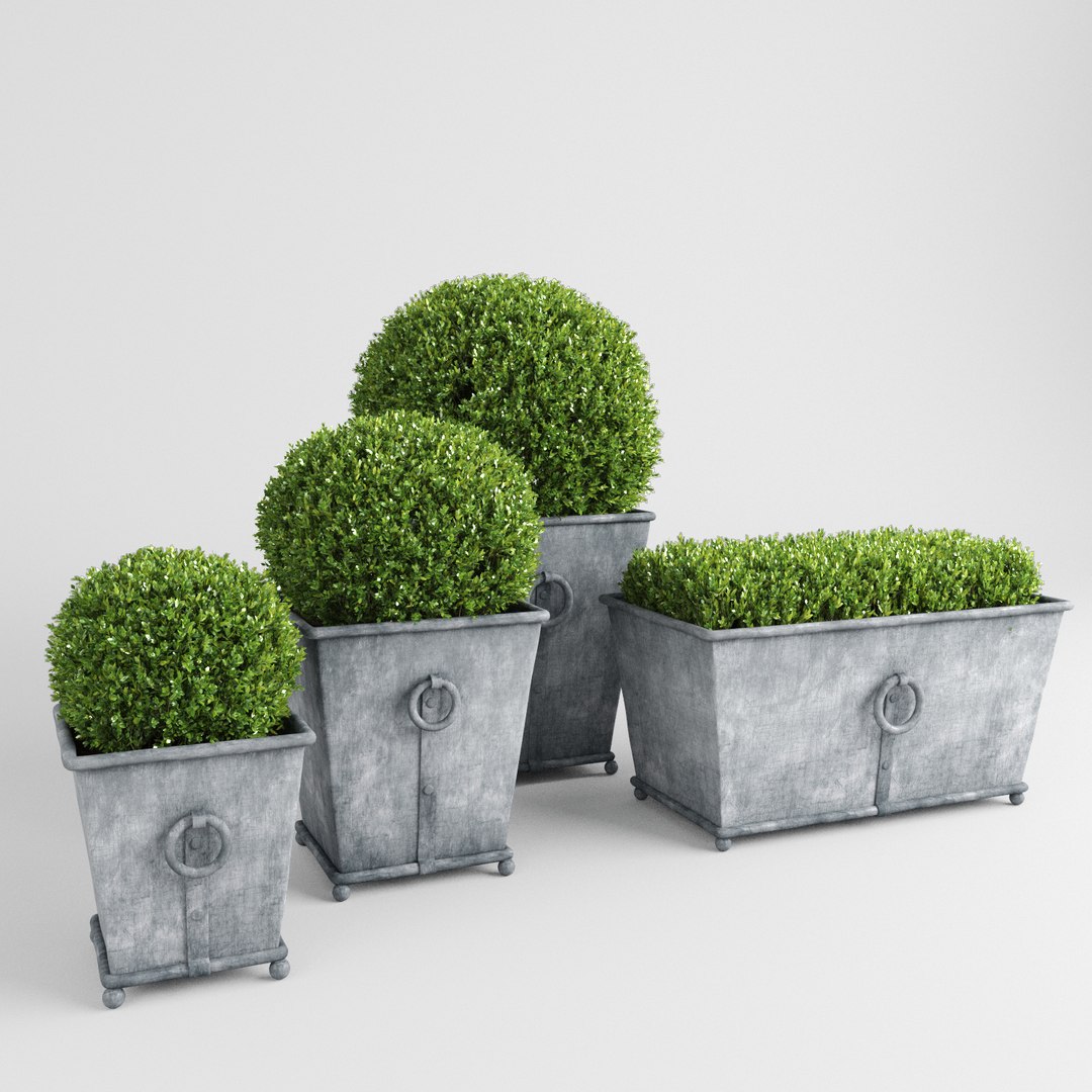 3d Max Realistic Planters Square Ring