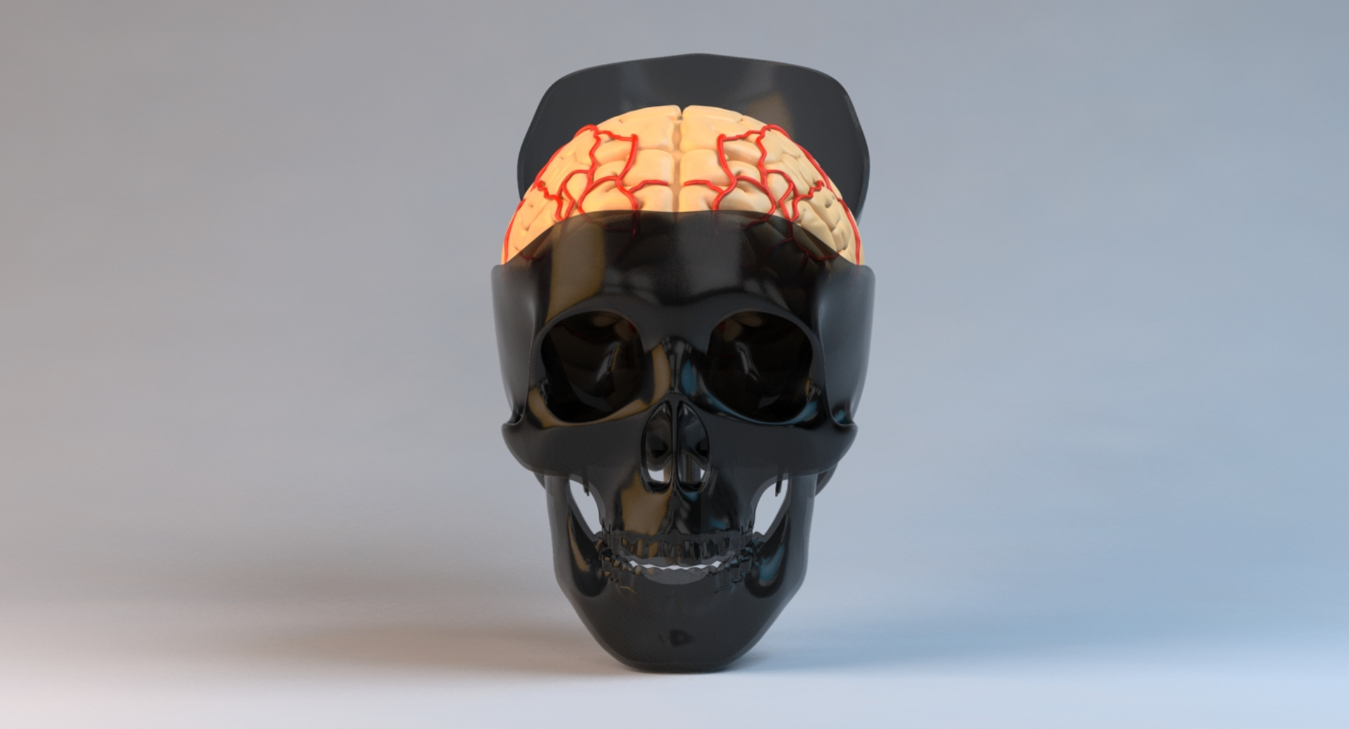 Human Skull Brain 3d Model