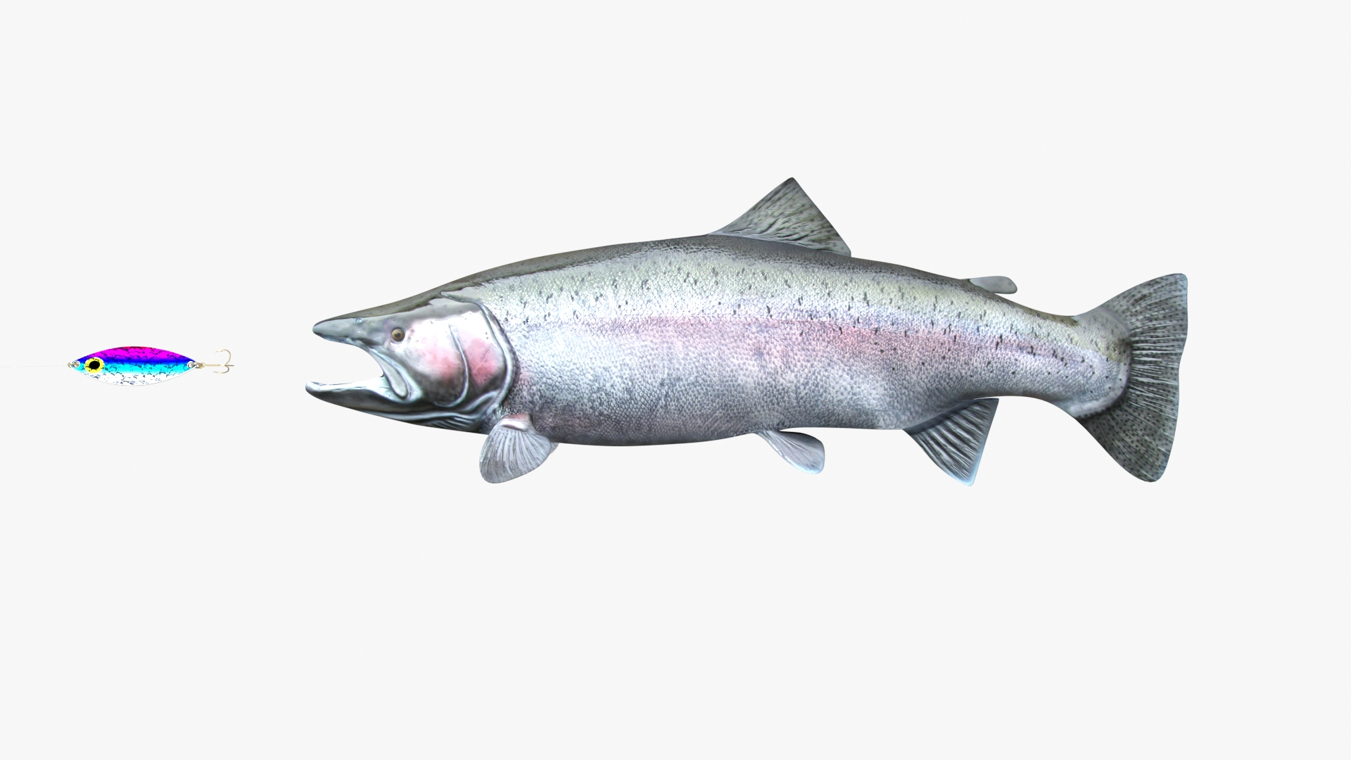 3D Steelhead Fish Trout Model - TurboSquid 1694062