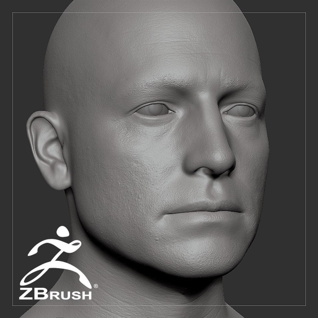 Average Caucasian Male Head 3D Model - TurboSquid 1156209
