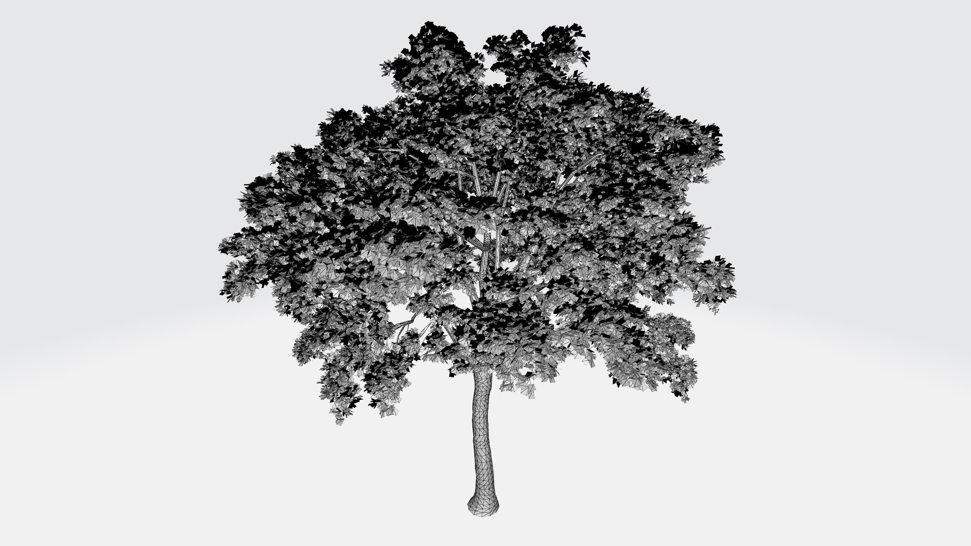 Medium-sized Tree 3D Model - TurboSquid 1955956
