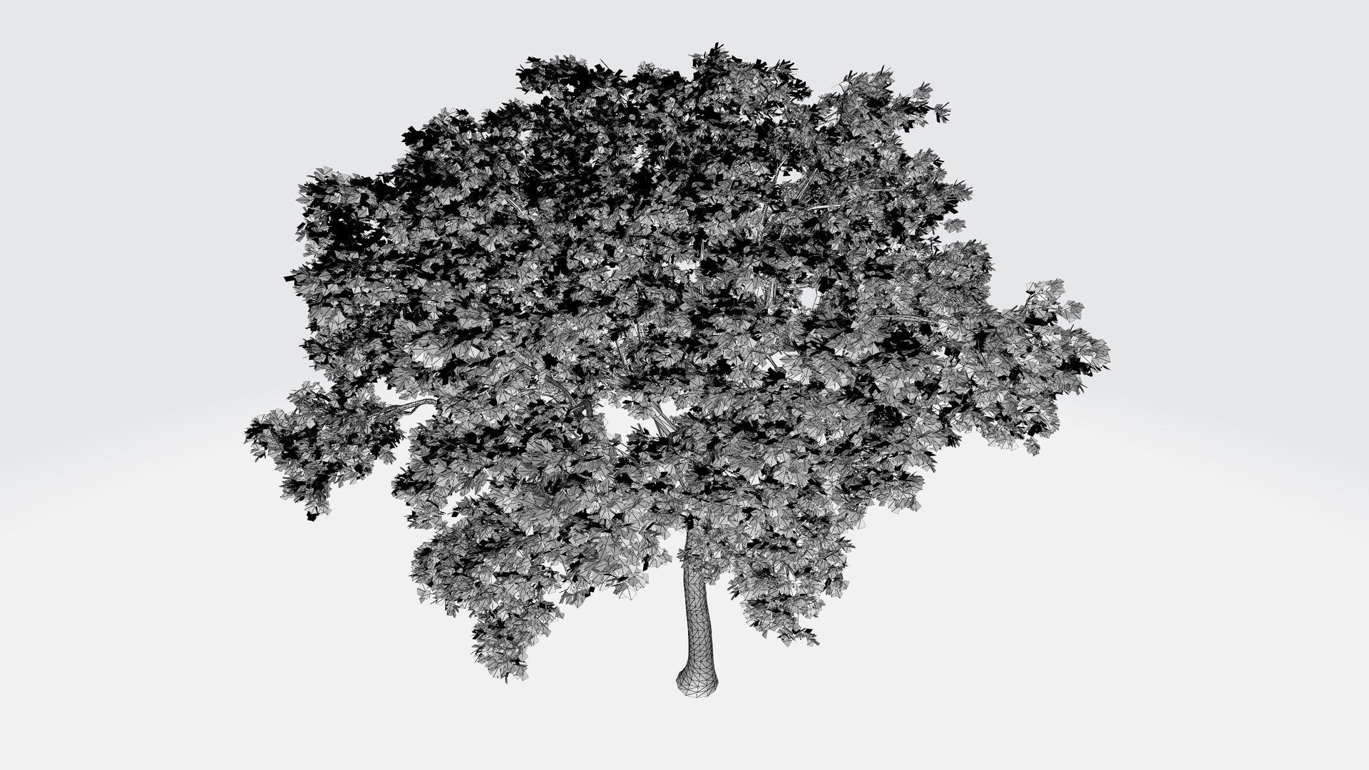 Medium-sized Tree 3D Model - TurboSquid 1955956