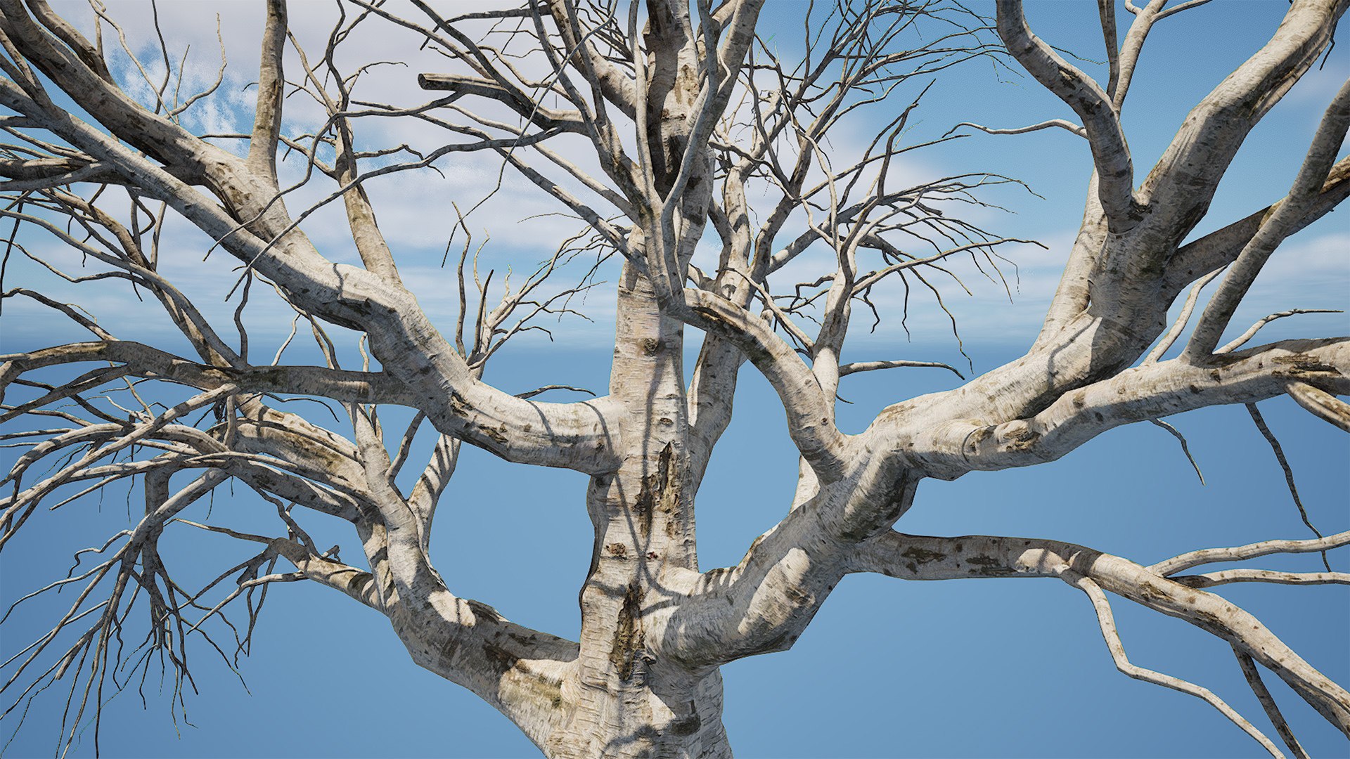 3D Highly Detailed Tree Trunk Model - TurboSquid 2147797