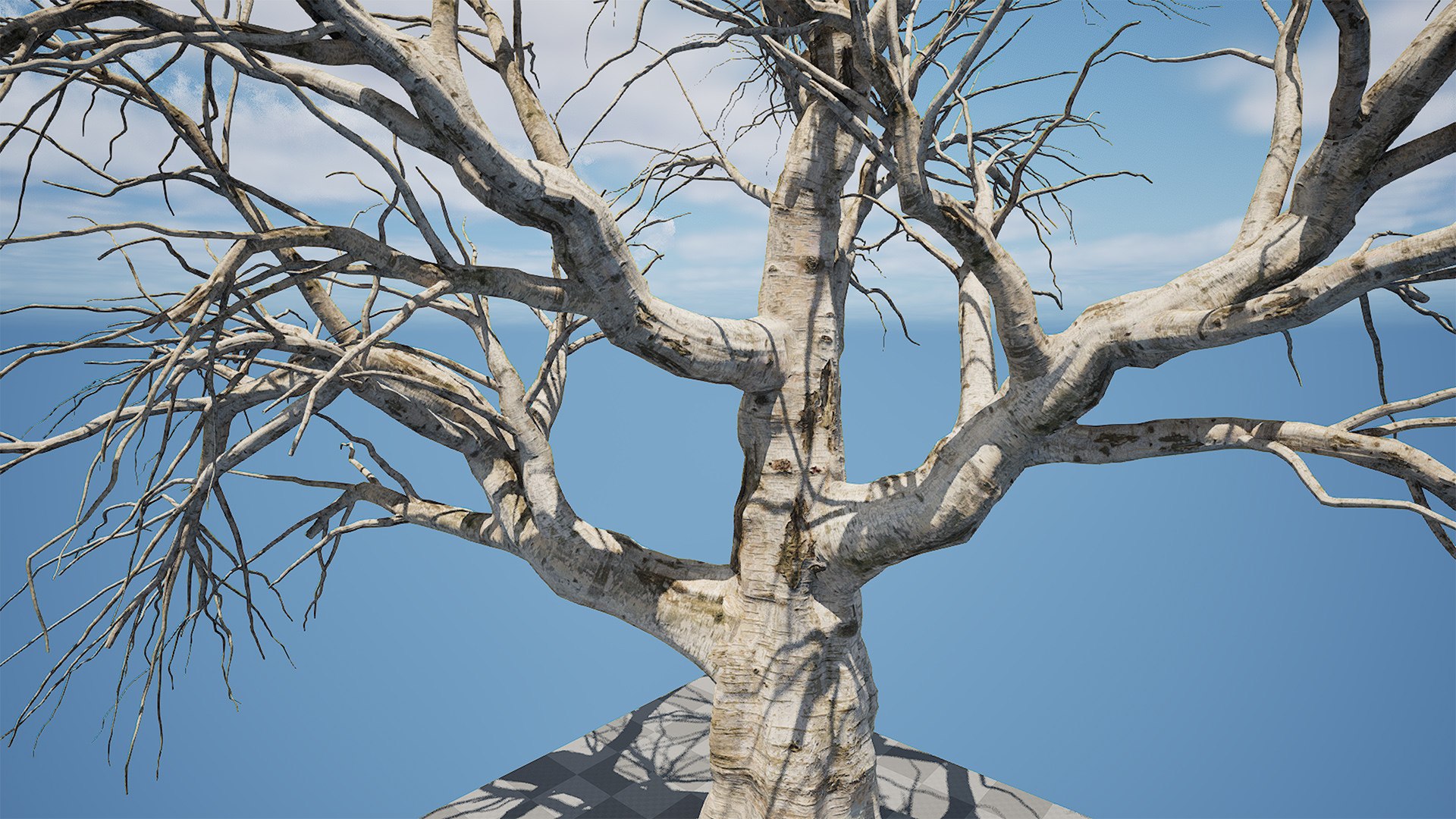 3D Highly Detailed Tree Trunk Model - TurboSquid 2147797