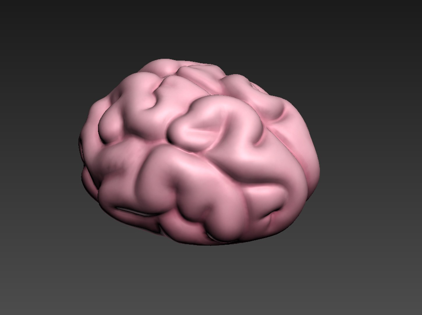 3D Brain Cartoon Model - TurboSquid 1456152