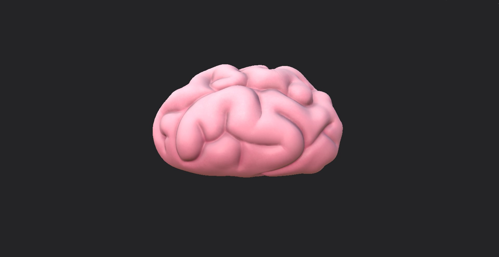 3D brain cartoon model - TurboSquid 1456152