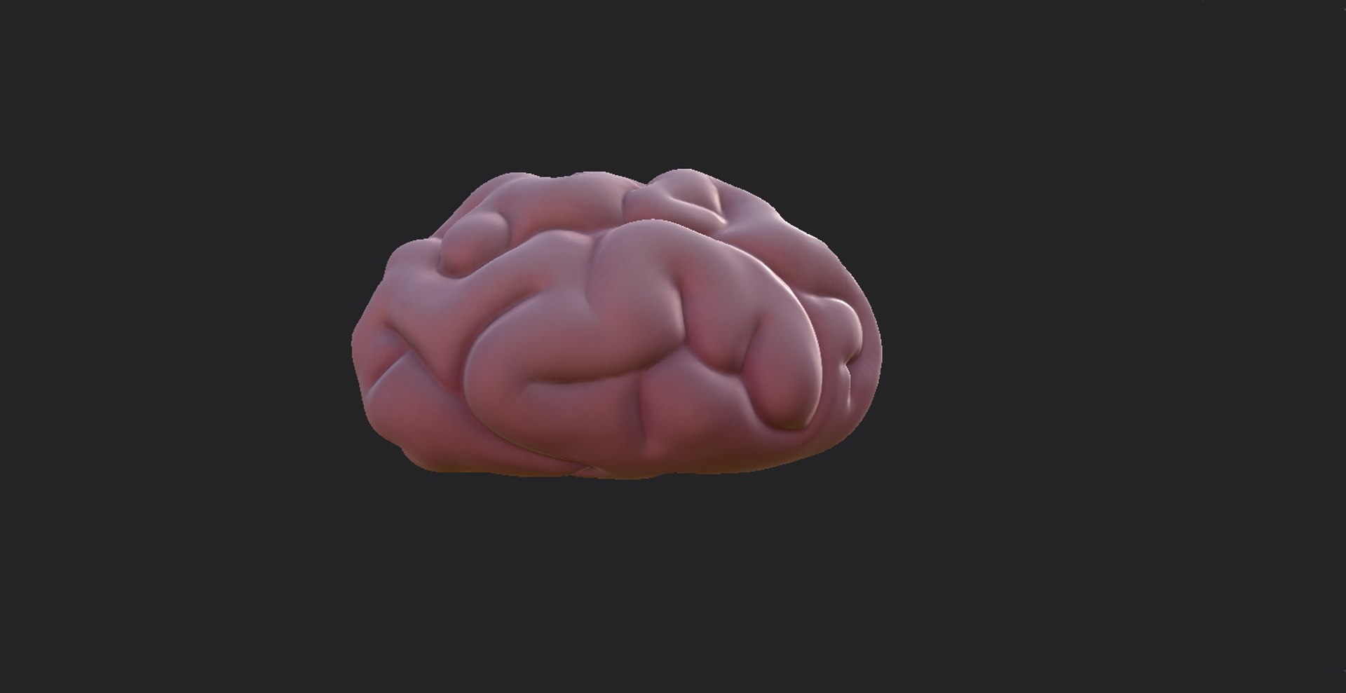 3D Brain Cartoon Model - TurboSquid 1456152