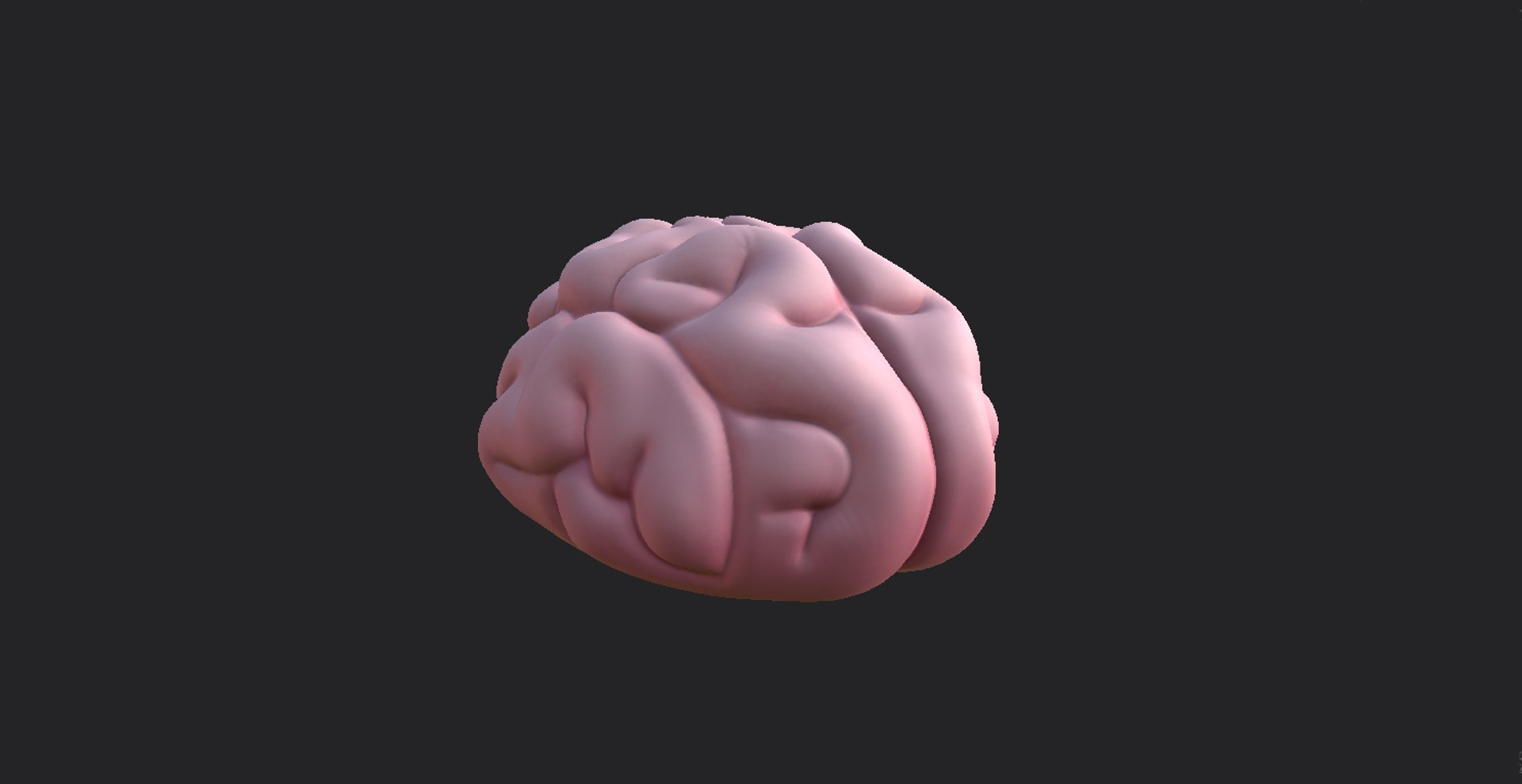 3D Brain Cartoon Model - TurboSquid 1456152