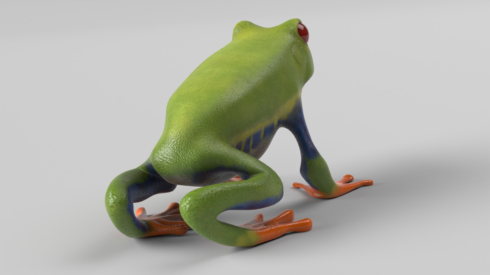 3D Red Eyed Tree Frog Model - TurboSquid 2073941