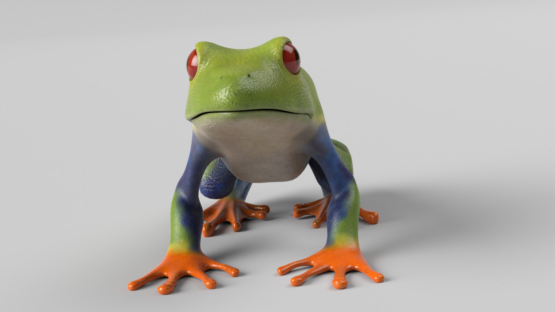 3D Red Eyed Tree Frog Model - TurboSquid 2073941