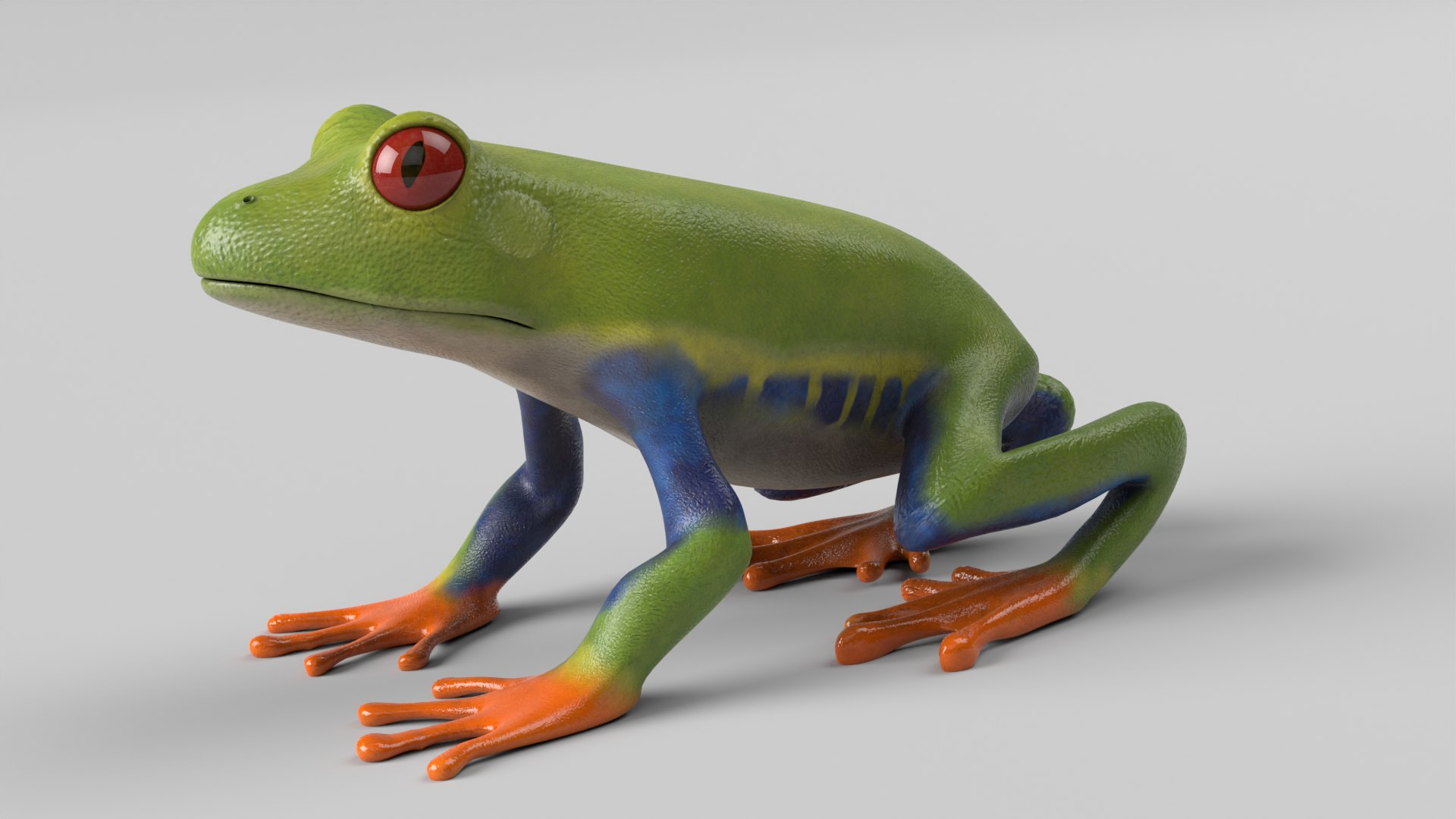 3D Red Eyed Tree Frog Model - TurboSquid 2073941