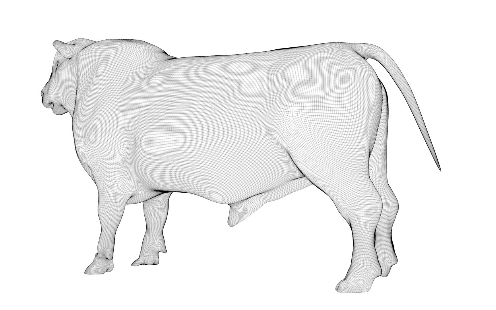 RED ANGUS Rigged L2063 3D Model - TurboSquid 2153529