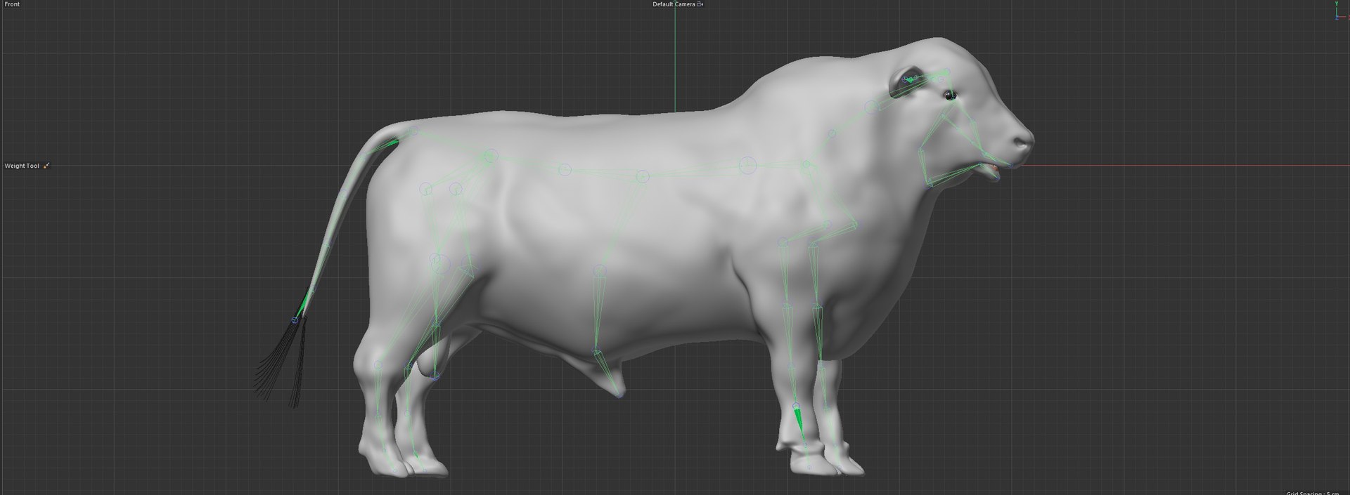 RED ANGUS Rigged L2063 3D Model - TurboSquid 2153529