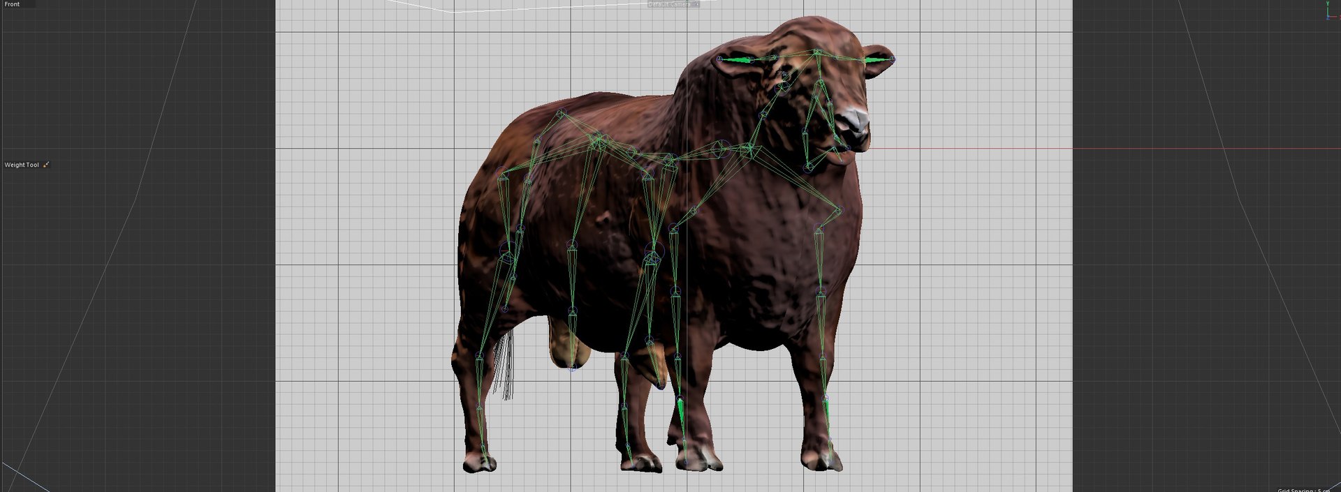 RED ANGUS Rigged L2063 3D Model - TurboSquid 2153529