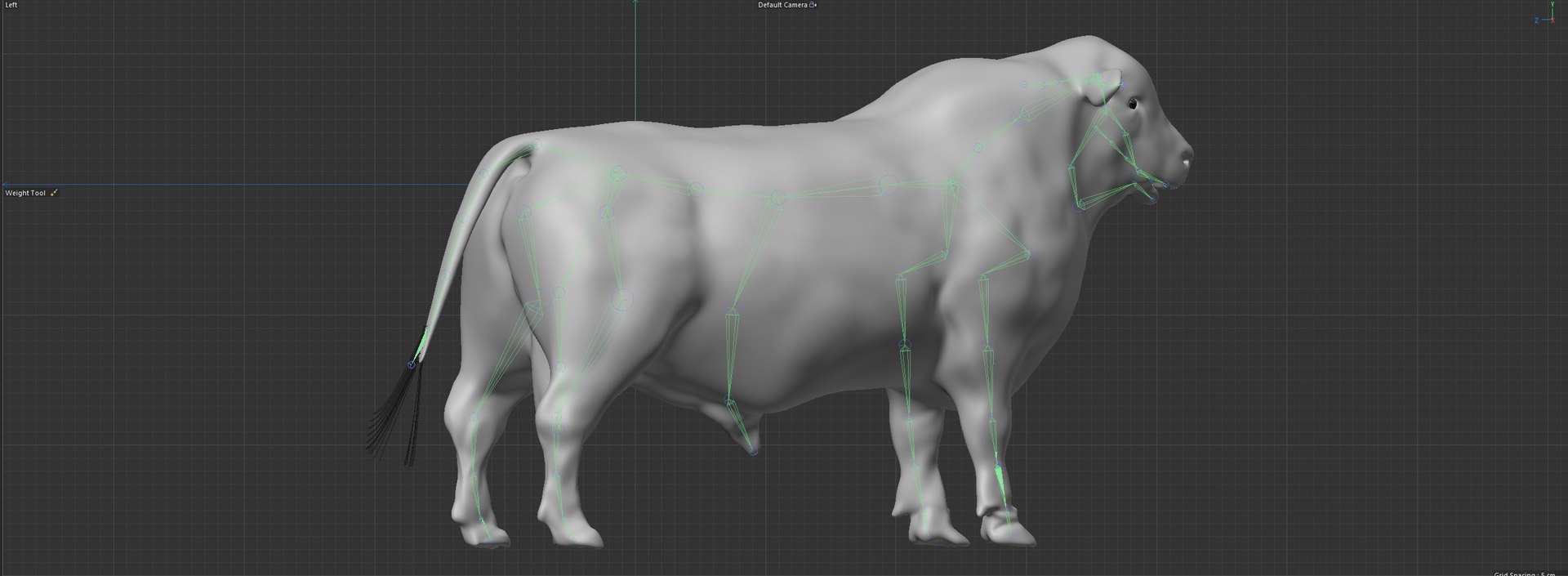 RED ANGUS Rigged L2063 3D Model - TurboSquid 2153529