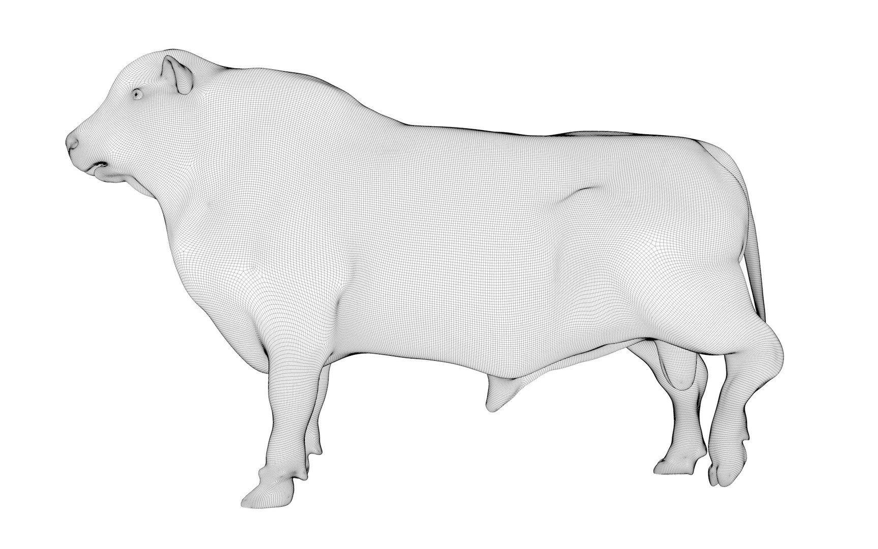 RED ANGUS Rigged L2063 3D Model - TurboSquid 2153529