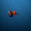 3D Jellyfish Animations Model - TurboSquid 1262114