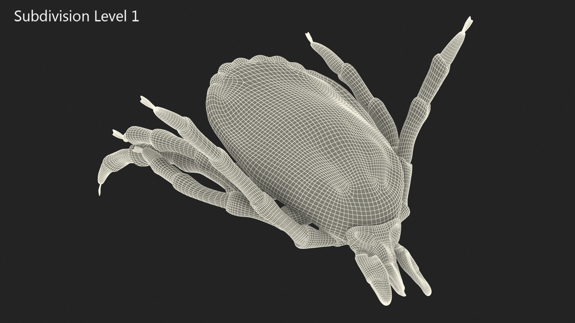 Tick Bite Pose Model - TurboSquid 1852241
