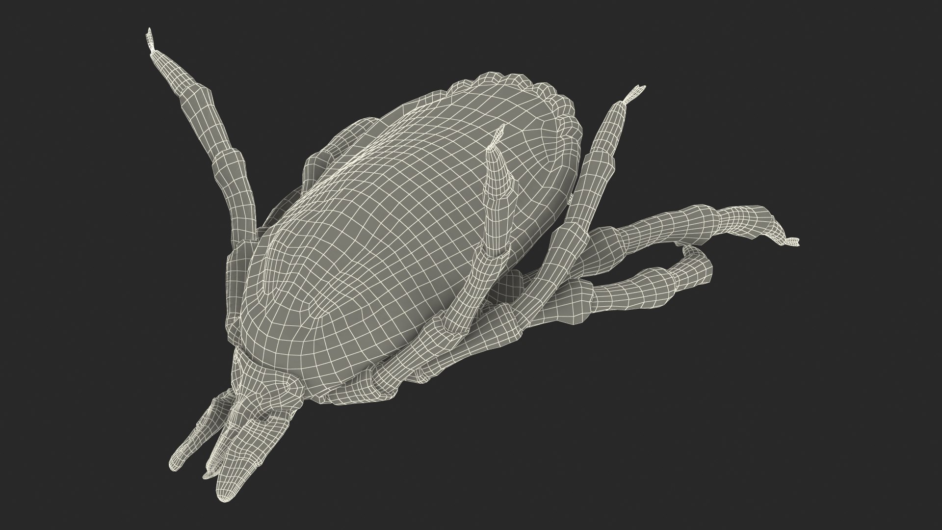 Tick Bite Pose Model - TurboSquid 1852241