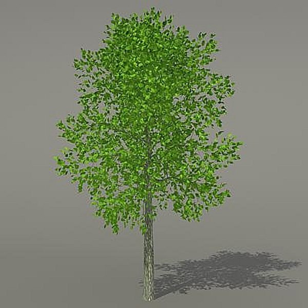 3d tree model