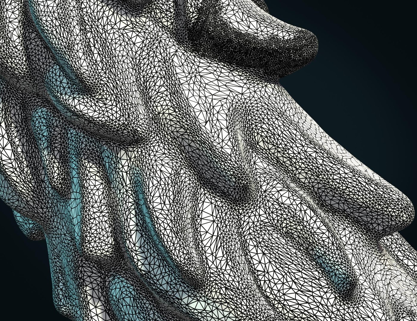 Wolf tail 3D model - TurboSquid 1709739