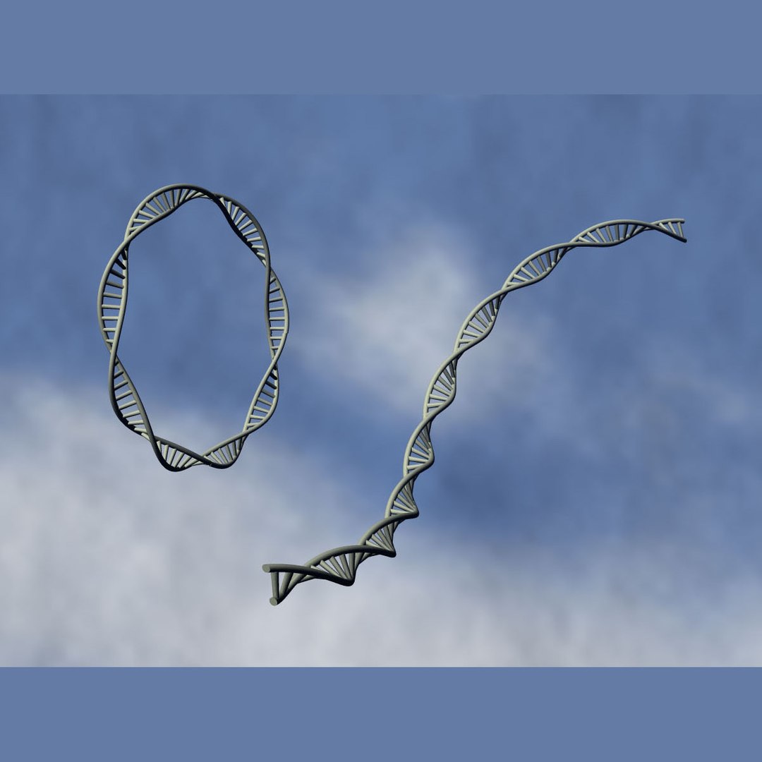 3D Twisted Ladder - TurboSquid 1307706