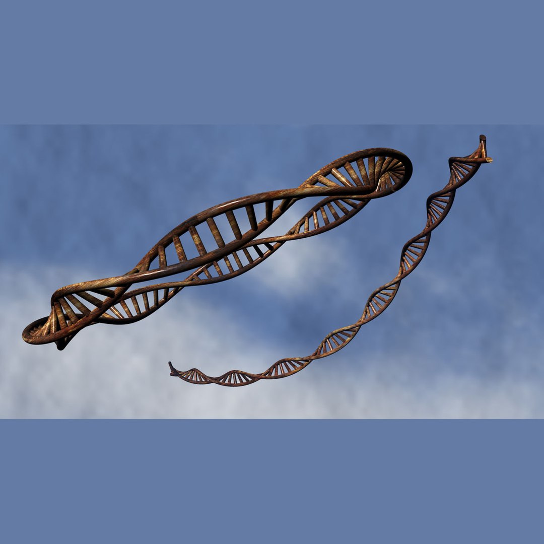 3D Twisted Ladder - TurboSquid 1307706