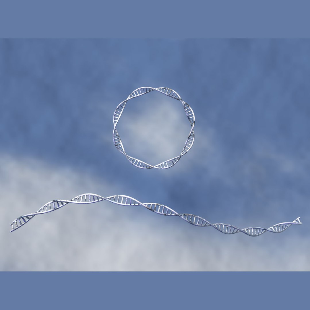 3D Twisted Ladder - TurboSquid 1307706