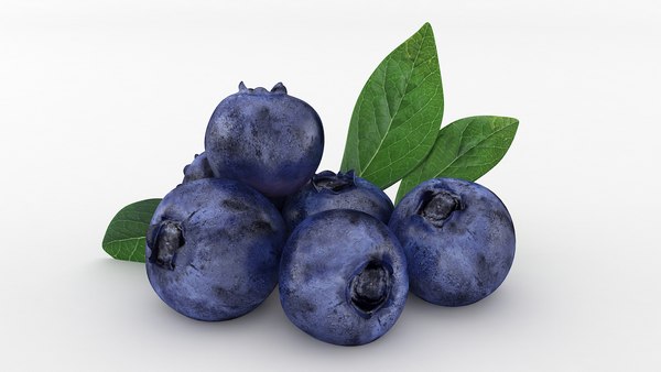 raspberry raspbery 3d model