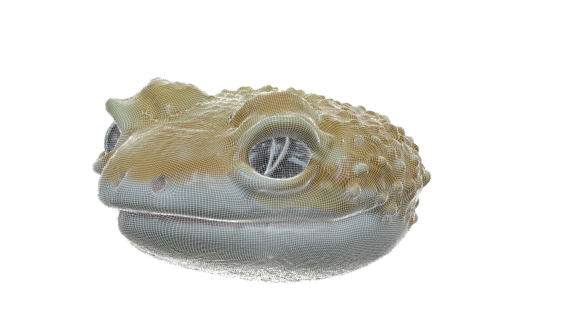 Gecko Head 3D Model - TurboSquid 2216528