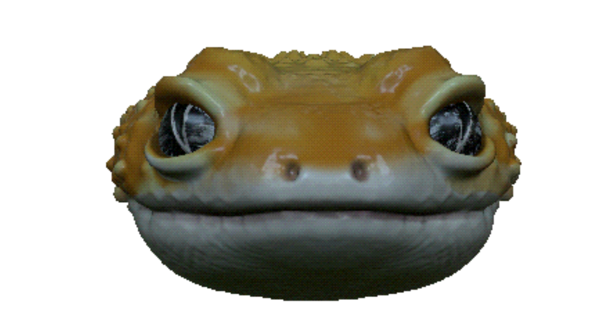 Gecko Head 3D Model - TurboSquid 2216528