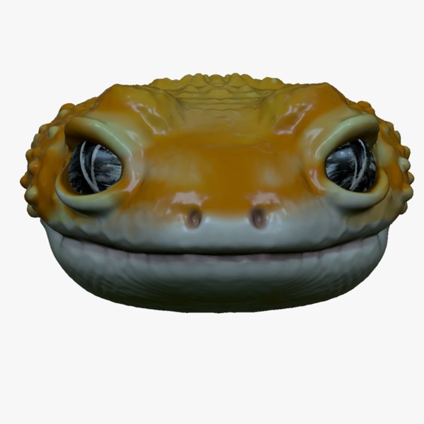 modelo 3d Cabeza de geco - TurboSquid 2216528