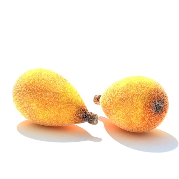 Loquat 3D Models for Download | TurboSquid