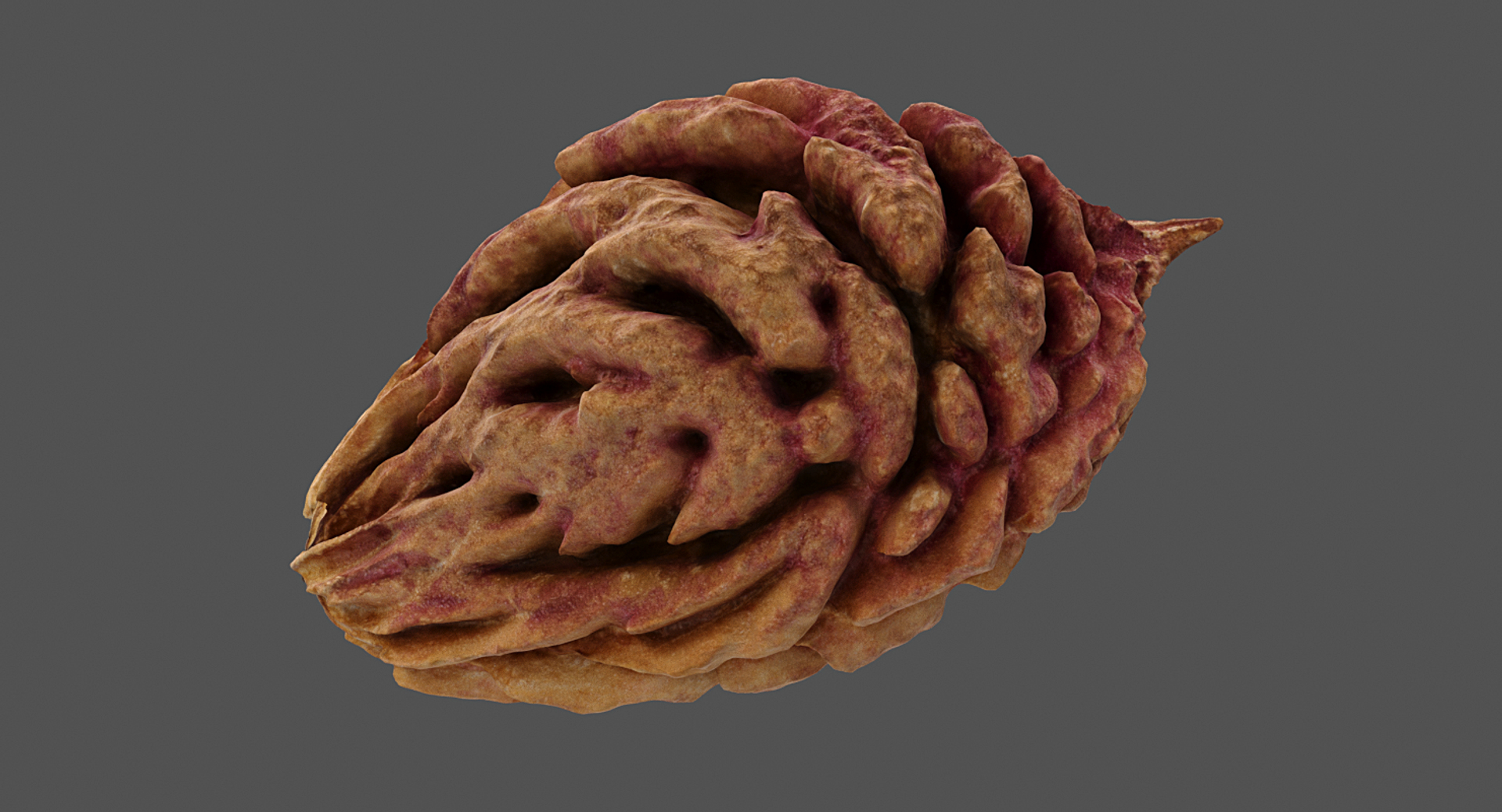 3D Realistic Peach Pit - TurboSquid 1189827