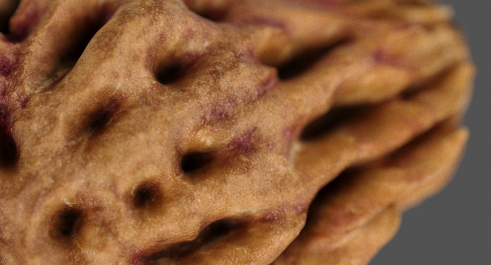 3D Realistic Peach Pit - TurboSquid 1189827