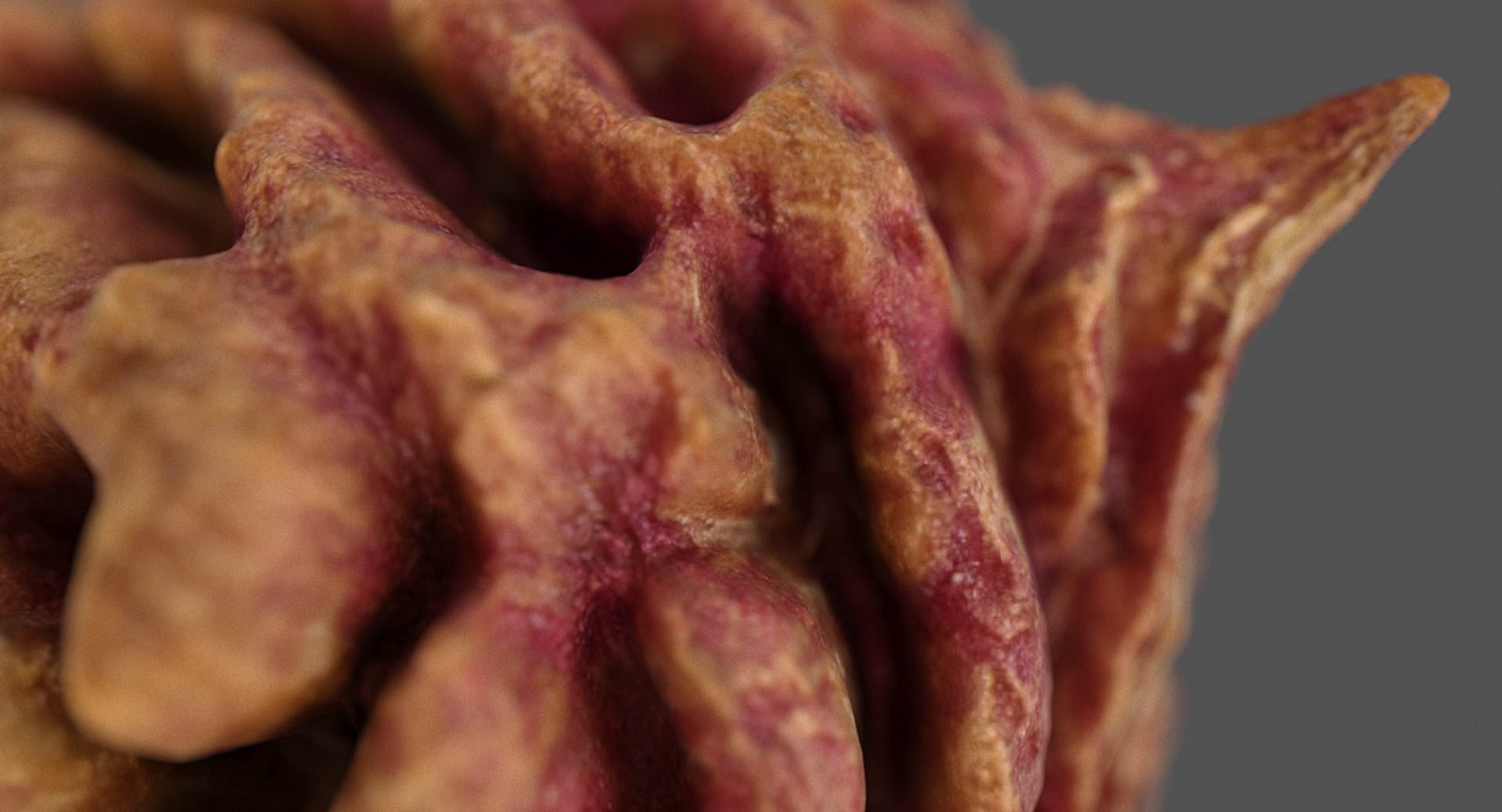 3D Realistic Peach Pit - TurboSquid 1189827