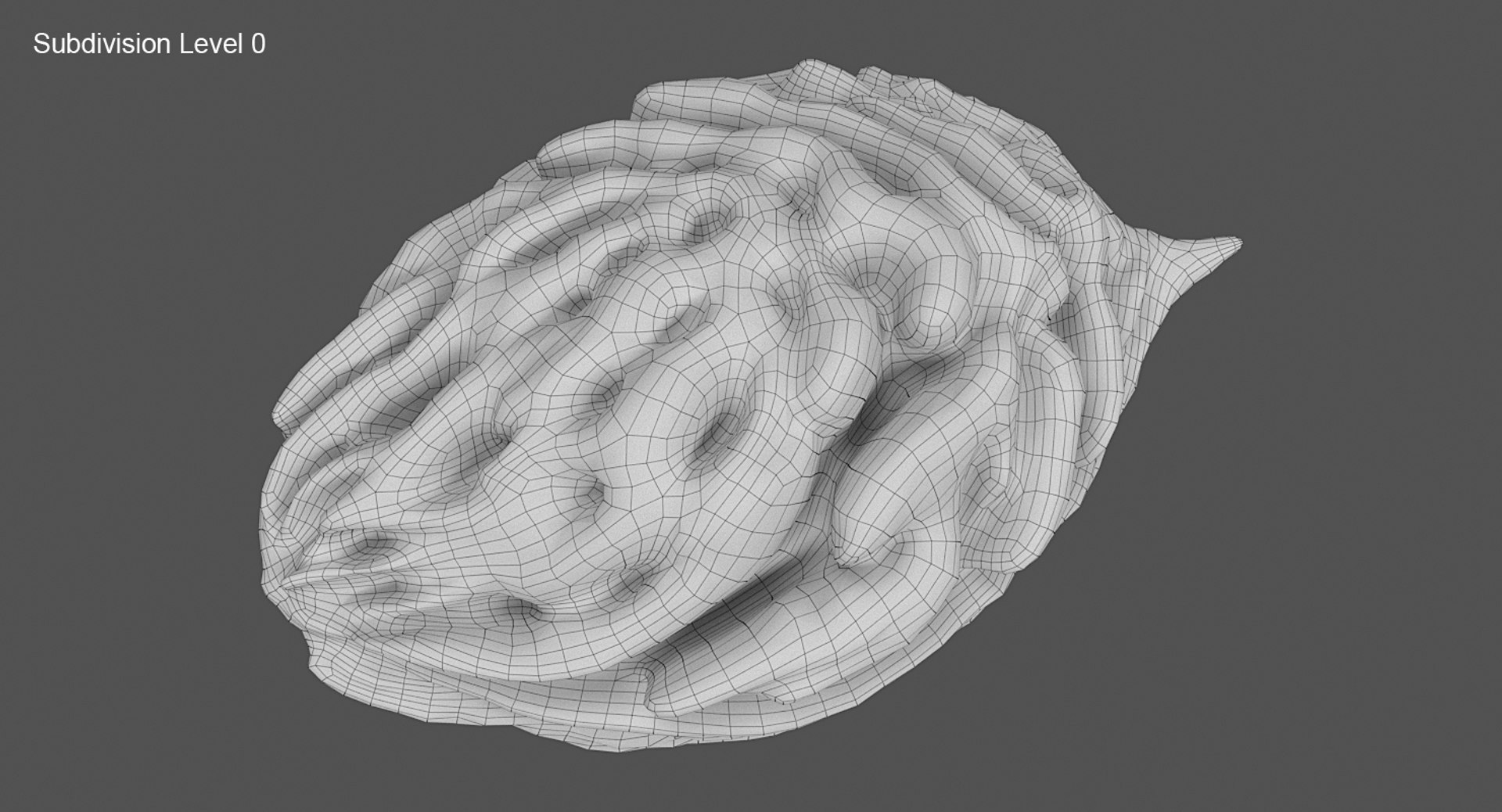 3D Realistic Peach Pit - TurboSquid 1189827