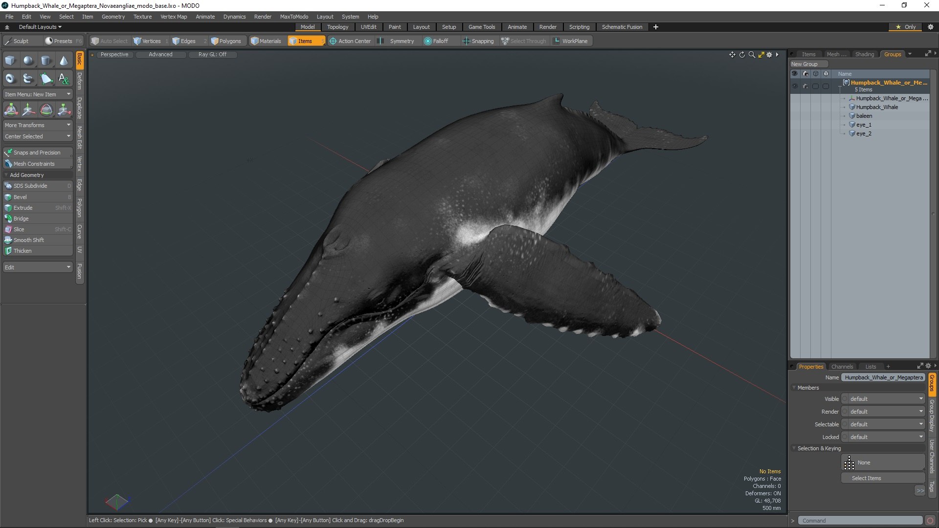 Humpback Whale Or Megaptera Novaeangliae Model - TurboSquid 2271120