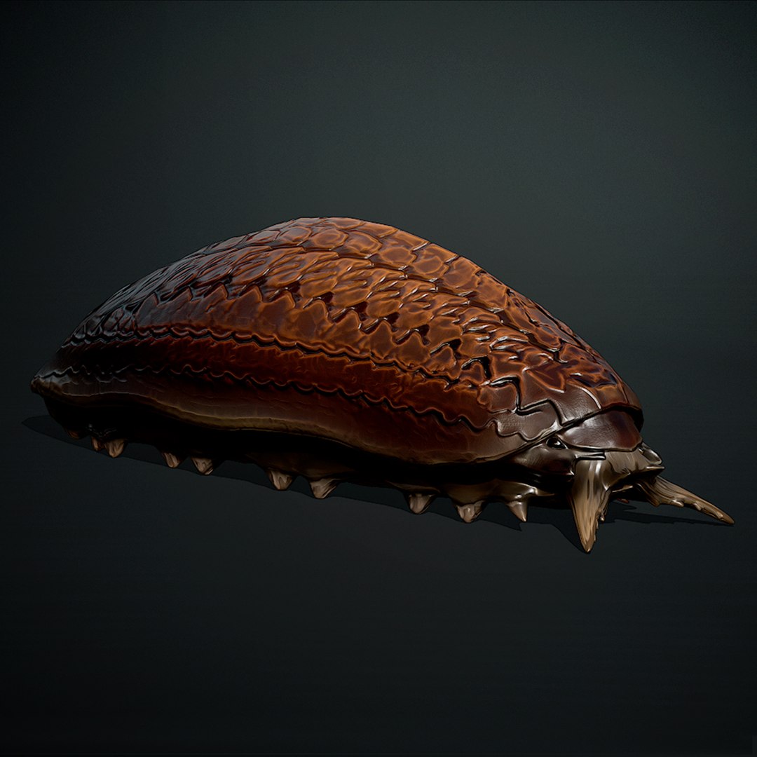 Larvae Creature1 3D Model - TurboSquid 2126768