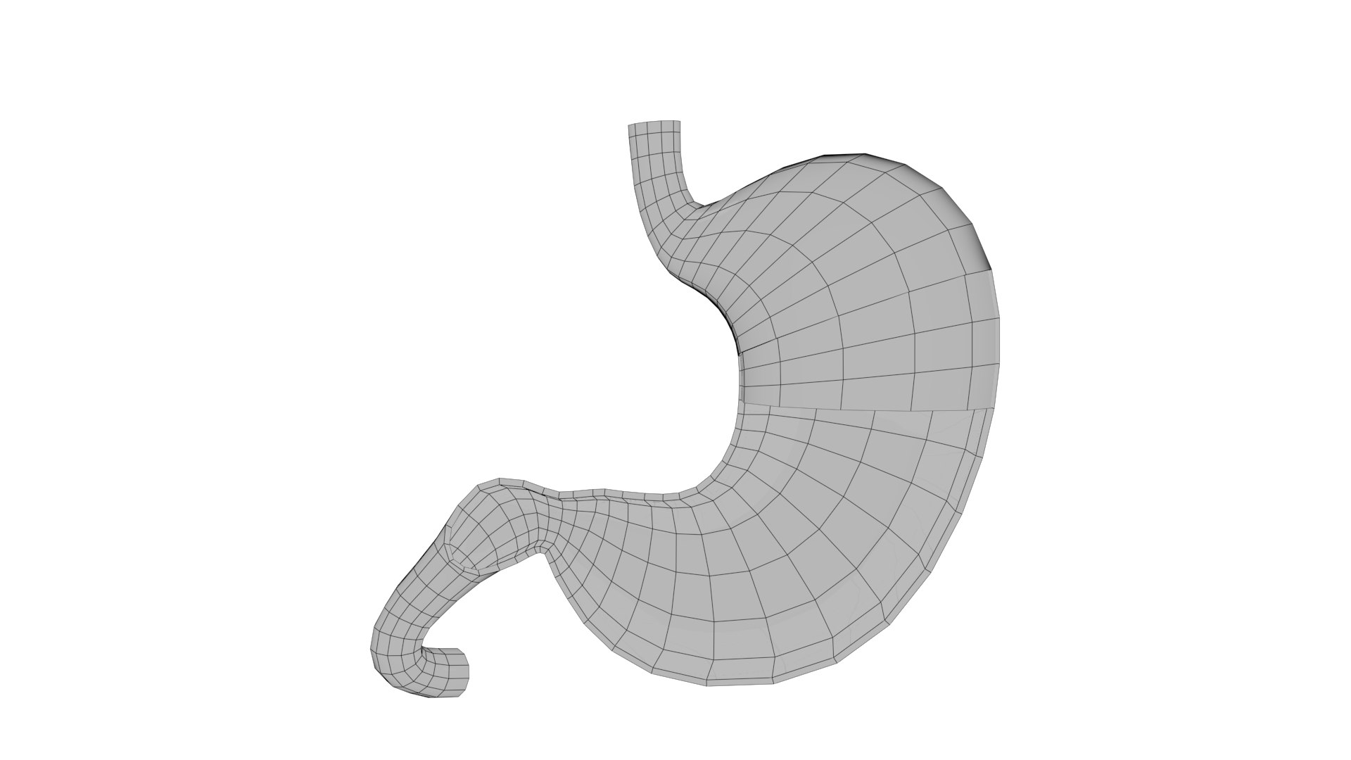 3D Human Stomach Anatomy - TurboSquid 2394757