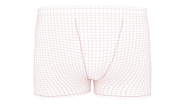 Boxer male underpants 3D model - TurboSquid 1668169