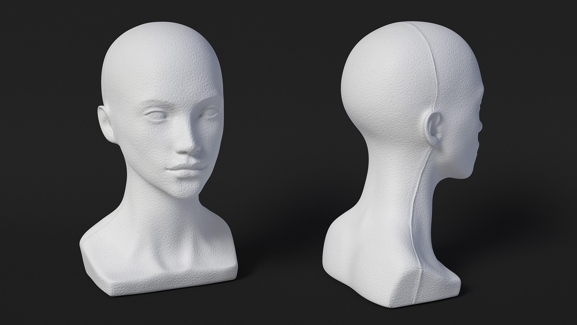 3D Styrofoam Woman Mannequin Head White - TurboSquid 2212191